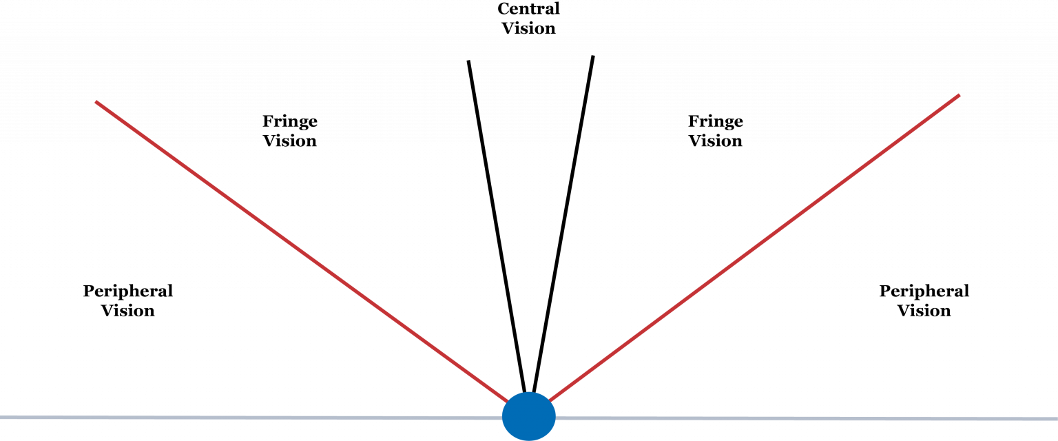 Lesson Four: Vision Control (1.4) – Oregon Risk Prevention Curriculum ...
